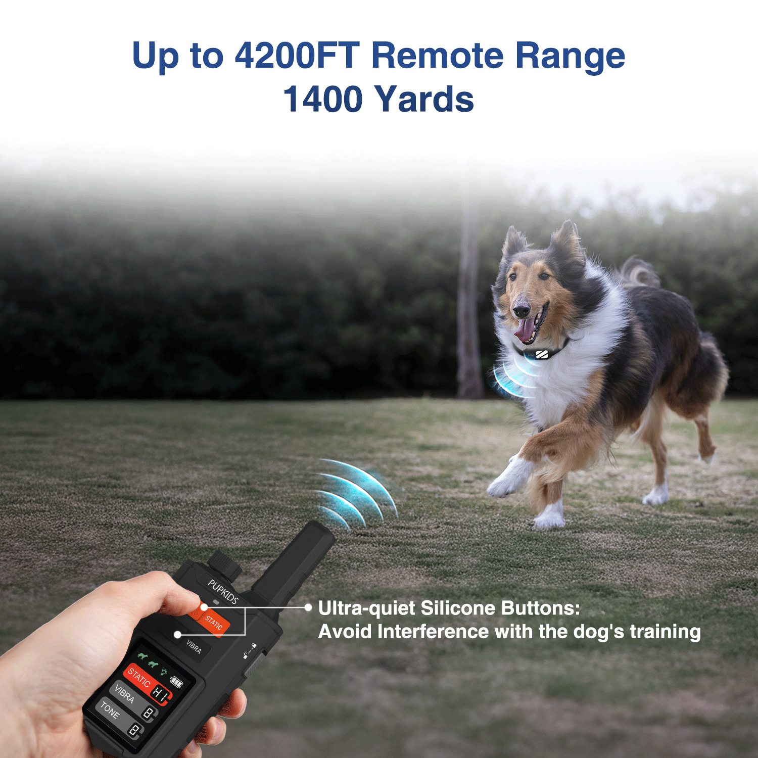 T223A Black – 我的商店